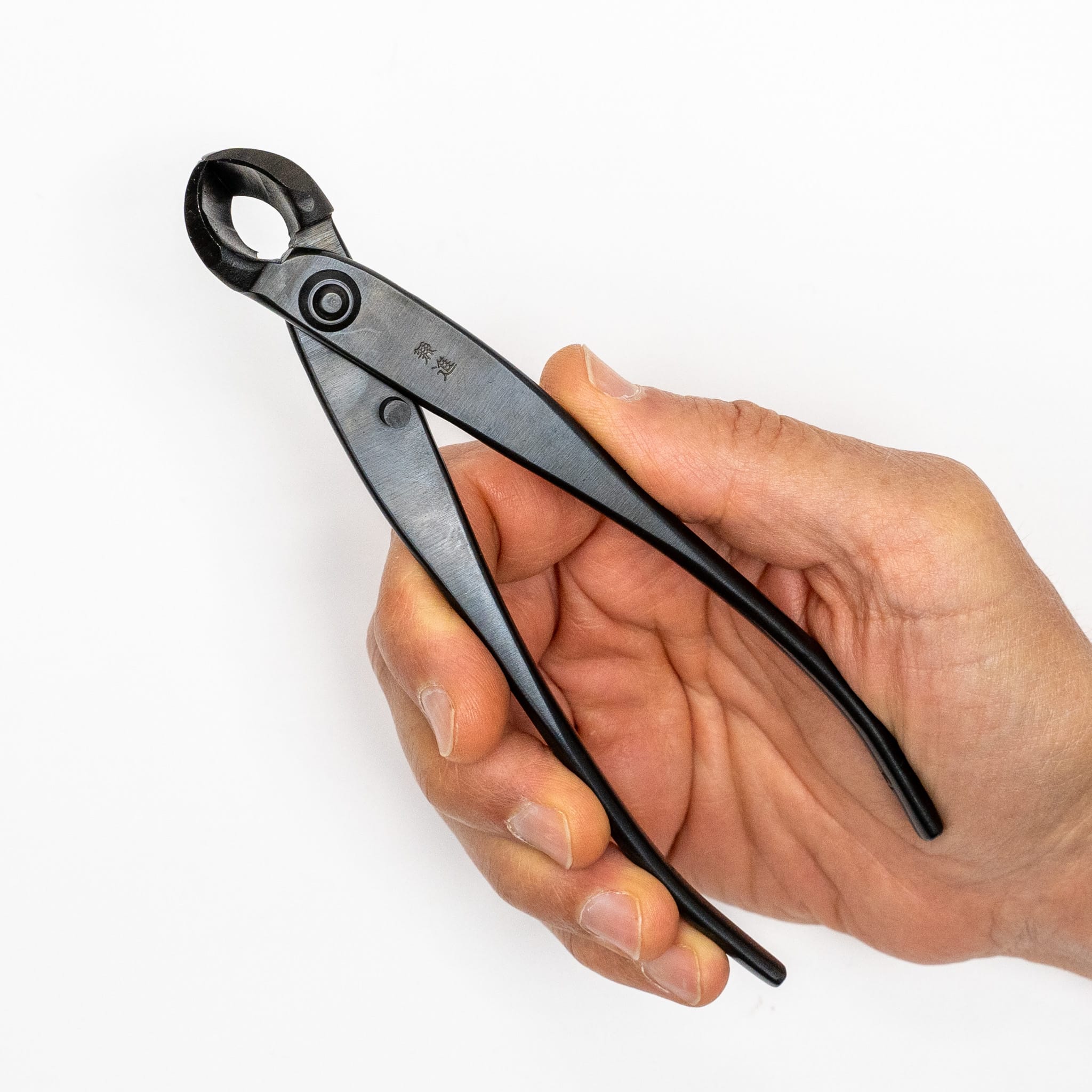 Concave (Branch) Cutters – Bonsai Tonight Store