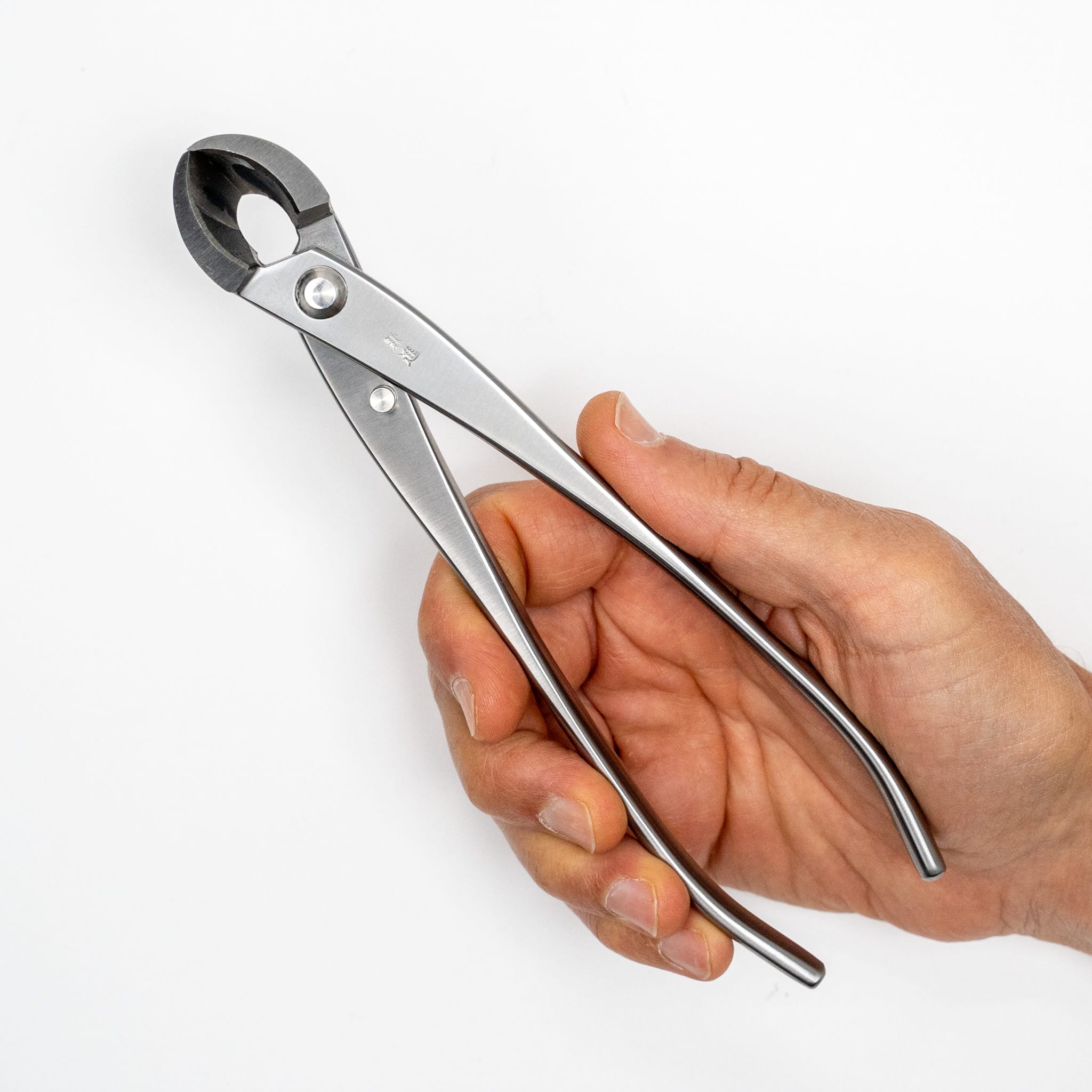 Stainless Round Edge Concave Branch Cutter (804) - 8.25" – Bonsai ...