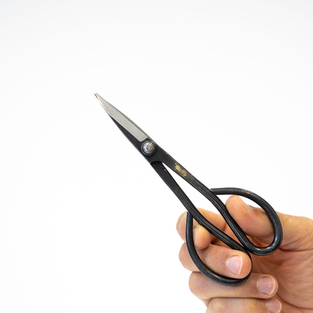 Scissors - Trimming – Bonsai Tonight Store